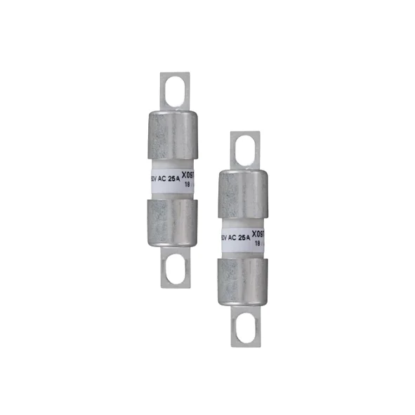 Protistor® BS88-4 size 10x28 aR (URE), 250VAC Fuses | Mersen