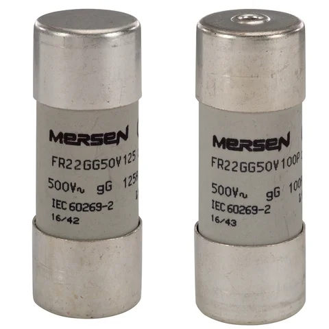 T1022160 - FR22GG69V63P Fuses | Mersen