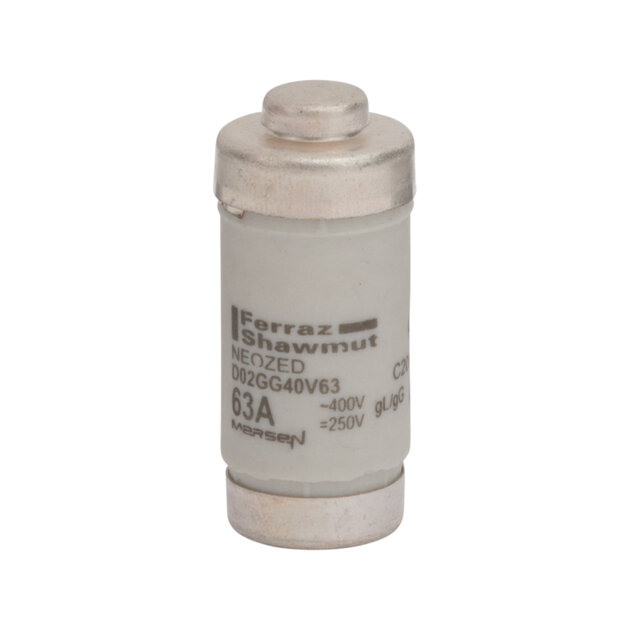 C201873 - D02GG40V63 Fuses | Mersen