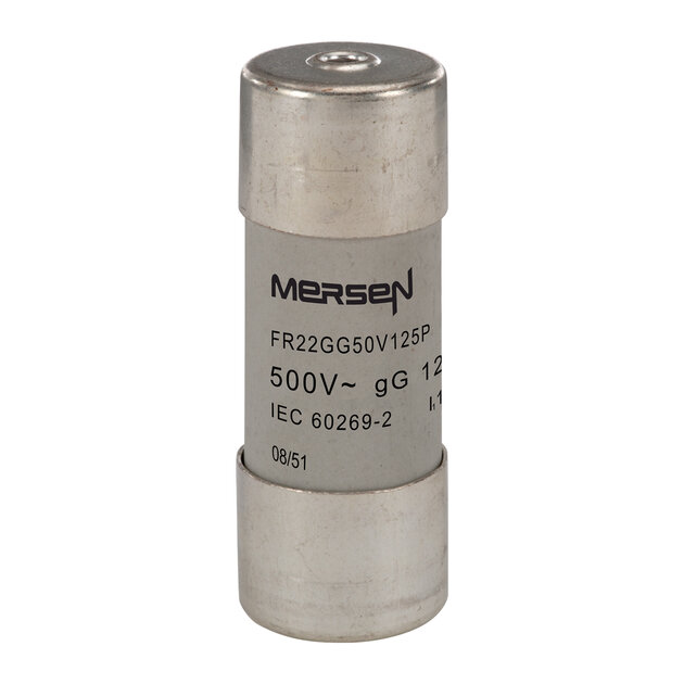 H218208 - FR22GG50V125P Fuses | Mersen
